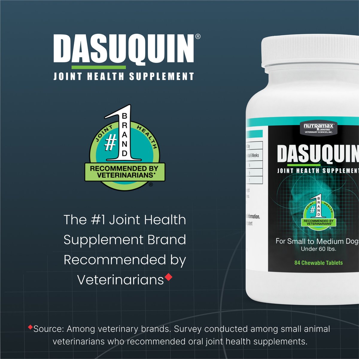 Nutramax Dasuquin Joint Health Small/Medium Dog Supplement | Chewy ...