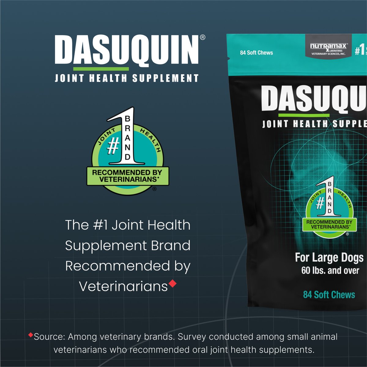 NUTRAMAX Dasuquin Hip & Joint Soft Chews Joint Supplement for Large ...