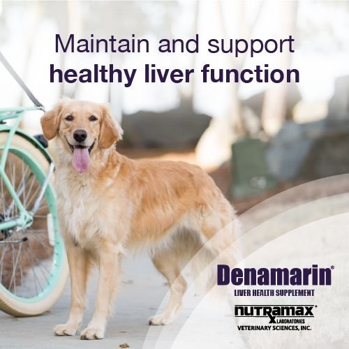 Out of Stock - NUTRAMAX Denamarin with S-Adenosylmethionine & Silybin ...