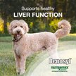 NUTRAMAX Denosyl Tablets Liver & Brain Supplement for Large Dogs, 30 ...