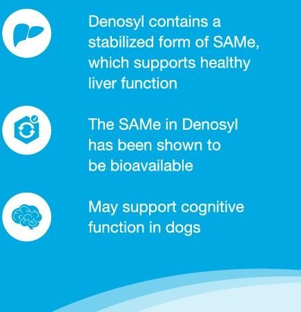 NUTRAMAX Denosyl Tablets Liver & Brain Supplement for Medium Dogs, 30 ...