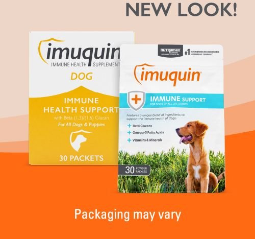 NUTRAMAX Imuquin Immune Support Powder Immune Supplement for Dogs, 30 ...