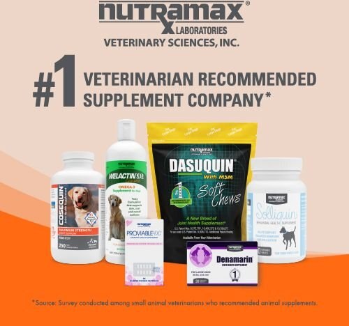 NUTRAMAX Imuquin Immune Support Powder Immune Supplement for Dogs, 30 ...