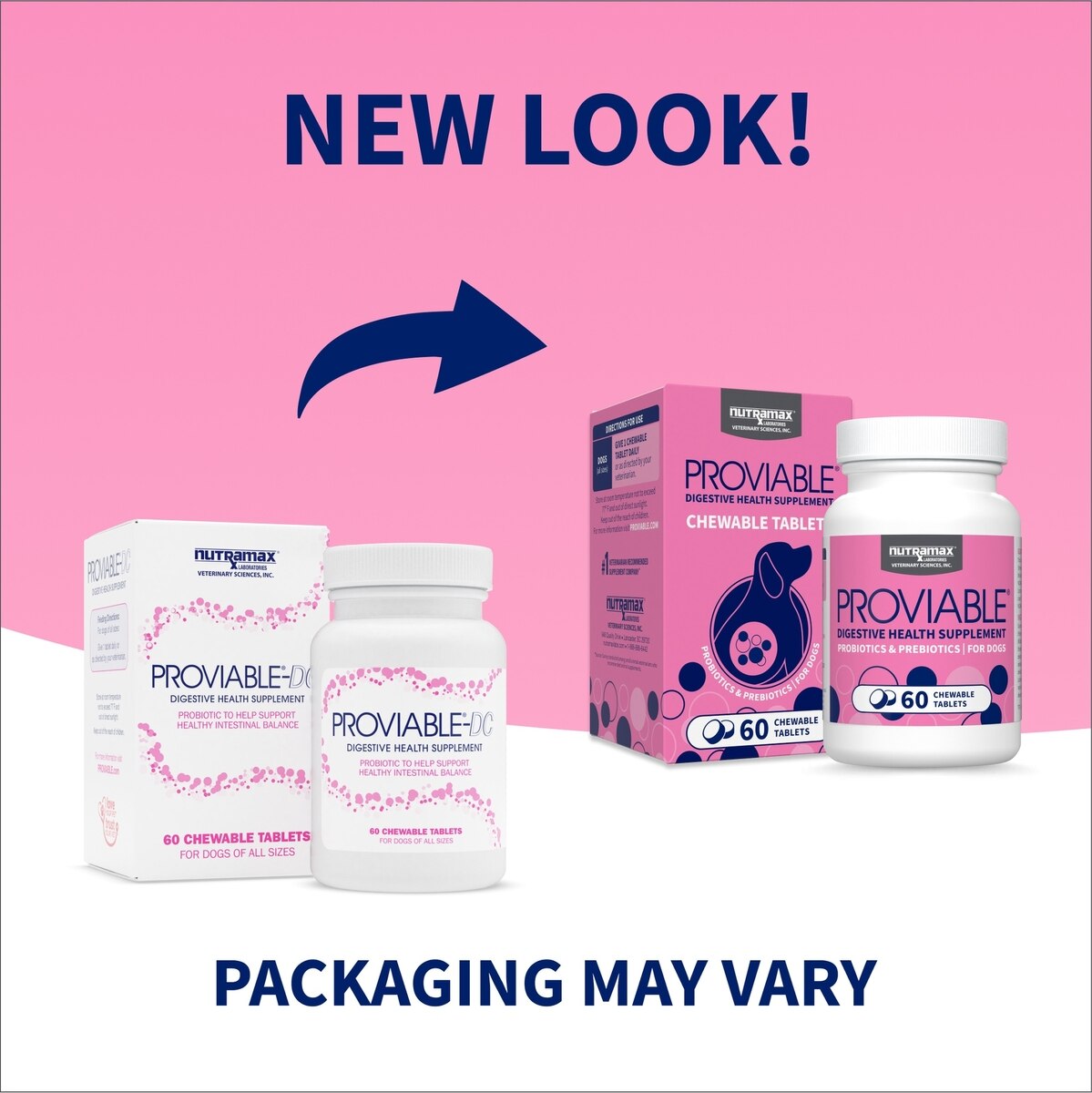 NUTRAMAX Proviable Probiotics Daily Digestive Health Chewable Tablet ...