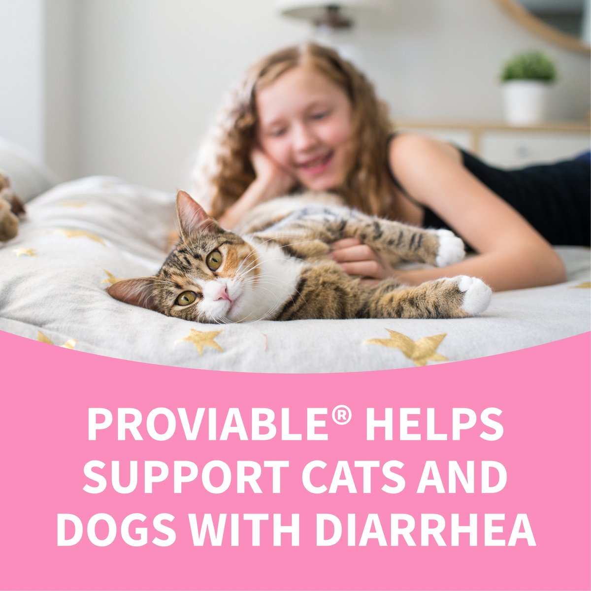 Nutramax Proviable-DC Capsules Dog & Cat Supplement (Free Shipping) | Chewy