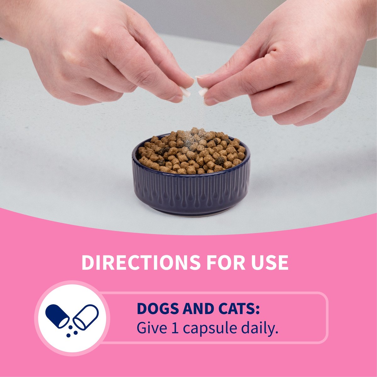 Nutramax Proviable-DC Capsules Dog & Cat Supplement (Free Shipping) | Chewy