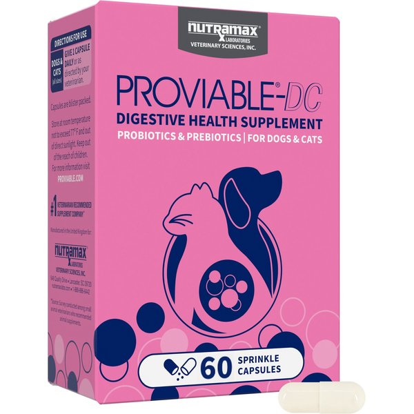 NUTRAMAX Proviable Probiotics Daily Digestive Health Chewable Tablet ...