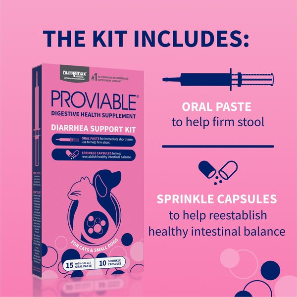 NUTRAMAX Proviable Probiotics & Prebiotics Digestive Health Supplement ...