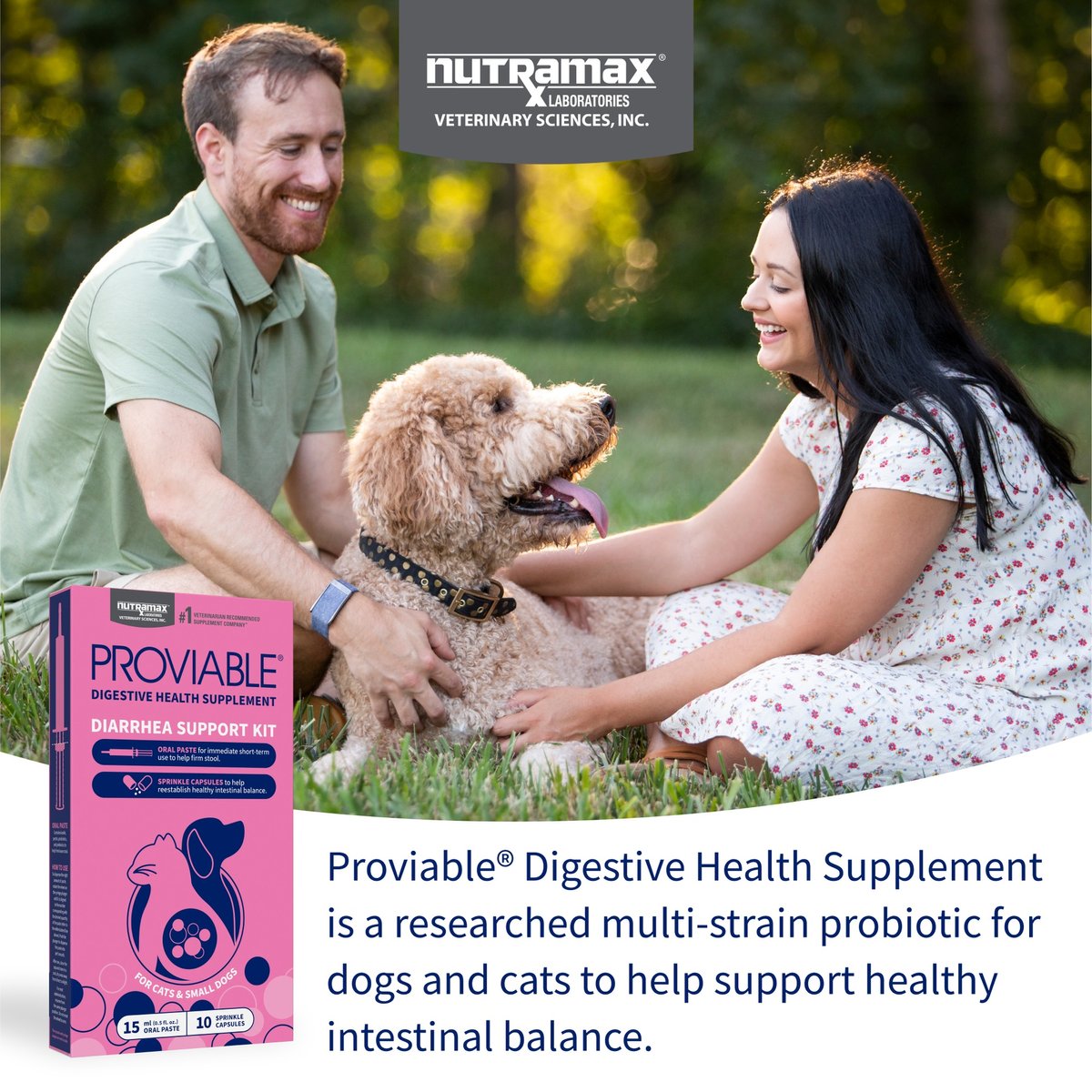 NUTRAMAX Proviable Probiotics & Prebiotics Digestive Health Supplement ...