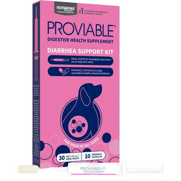 Nutramax Proviable - Free shipping | Chewy