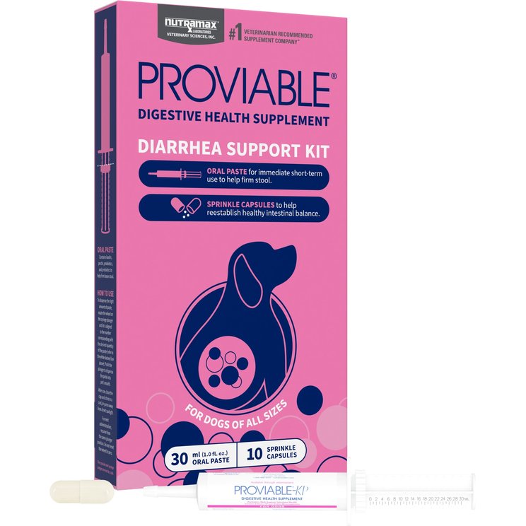 Nutramax Proviable - Free shipping | Chewy