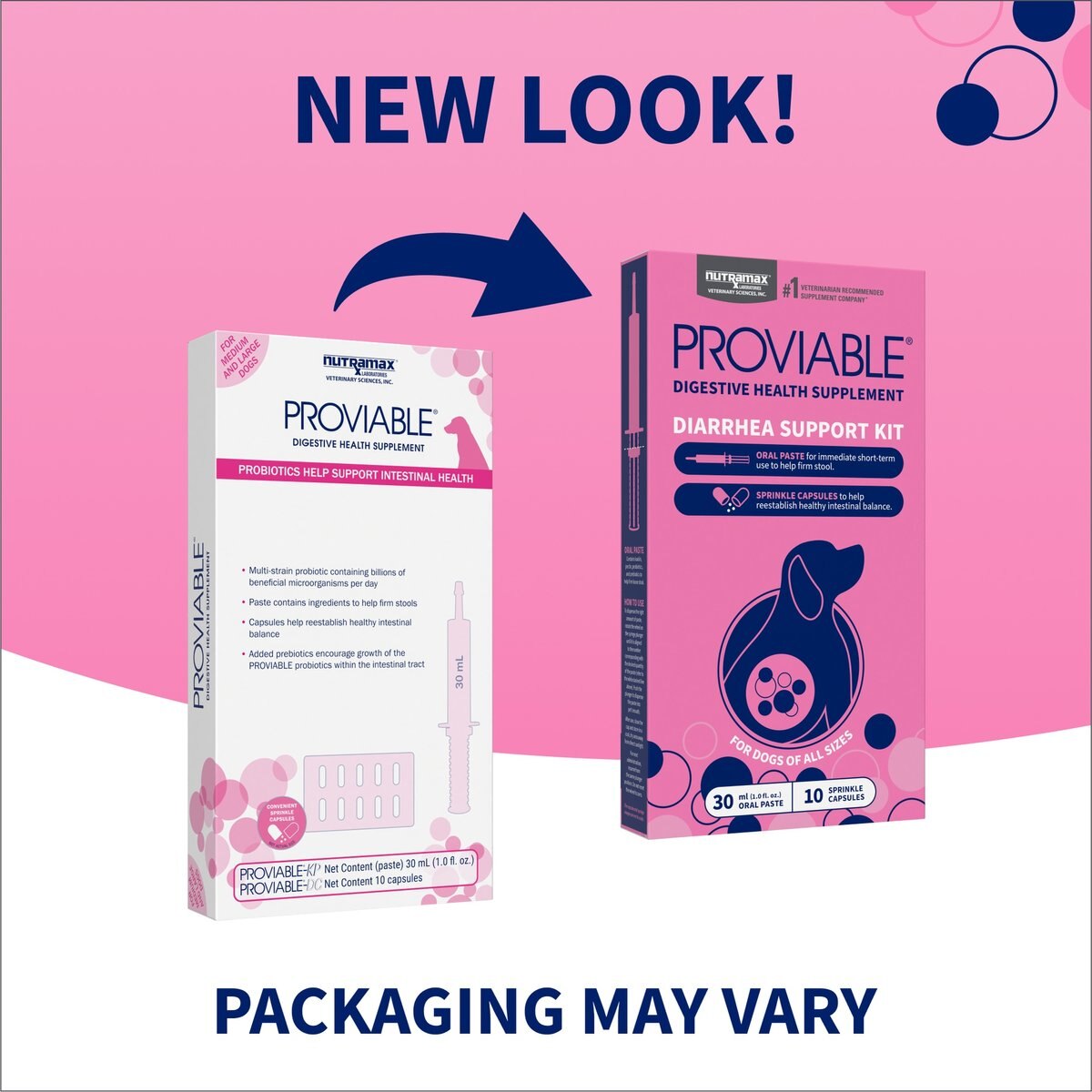 NUTRAMAX Proviable Probiotics & Prebiotics Digestive Health Supplement ...