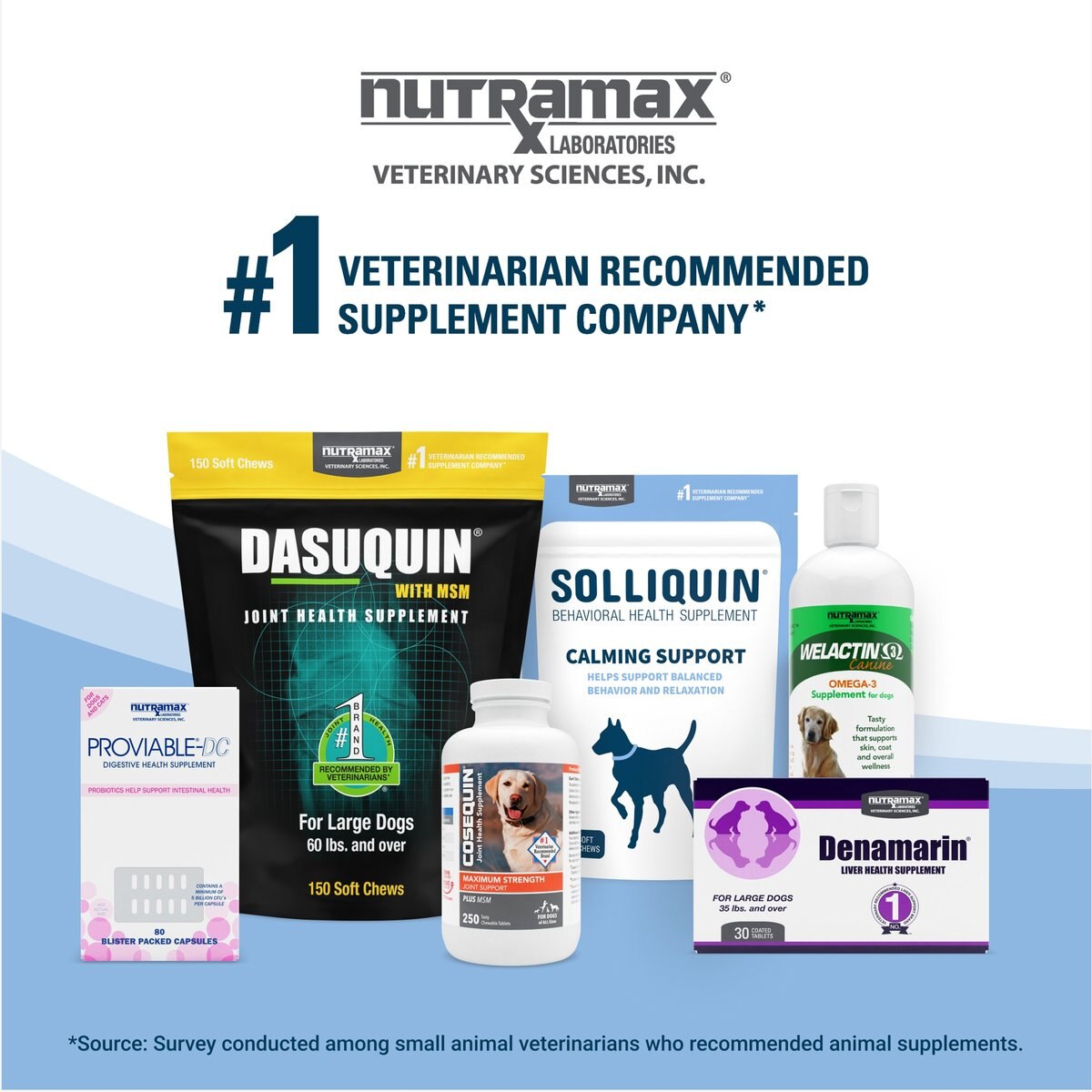 NUTRAMAX Solliquin Soft Chew Calming Behavioral Health Supplement for ...
