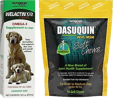 Nutramax Dasuquin - Free shipping | Chewy