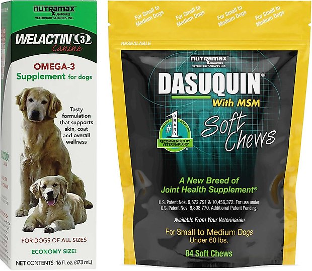 Nutramax Dasuquin - Free shipping | Chewy