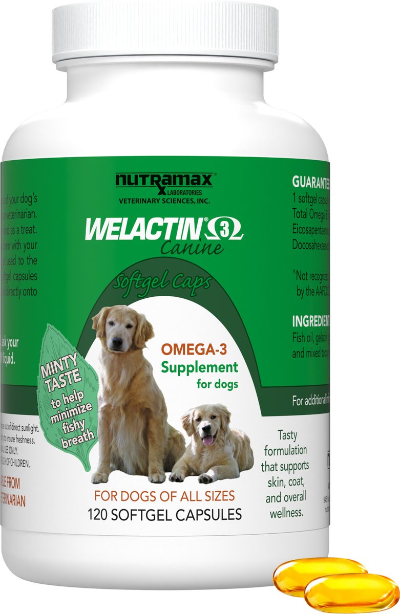 NUTRAMAX Welactin Omega-3 Fish Oil Skin Liquid Softgels Skin & Coat ...