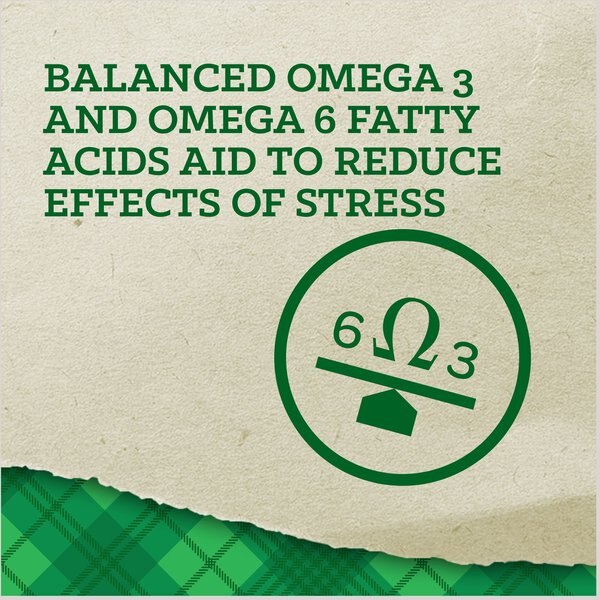 NUTRENA Empower Boost Horse Supplement, 40-lb bag - Chewy.com