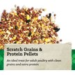 NUTRENA Hi Pro Chicken 12% Protein Scratch Grains & Protein Pellets, 7 ...