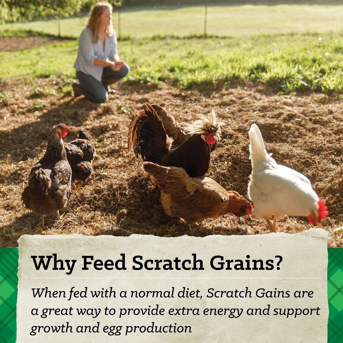 NUTRENA Hi Pro Chicken 12% Protein Scratch Grains & Protein Pellets, 7 ...