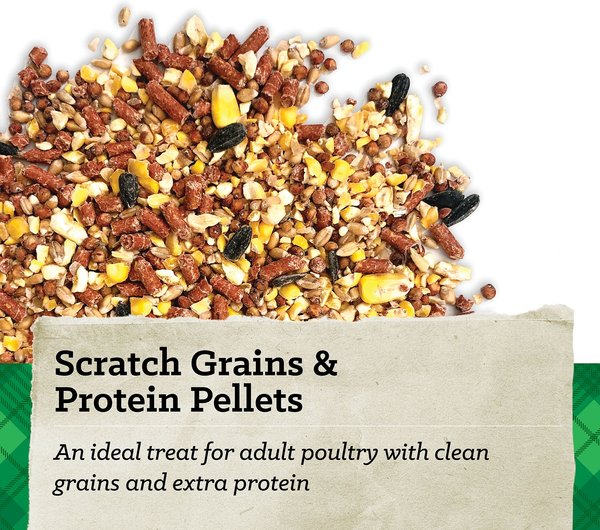 NUTRENA Hi Pro Chicken 12% Protein Scratch Grains & Protein Pellets ...