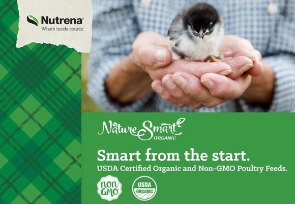NUTRENA Nature Smart Organic Layer Feed Layer 16% Protein Pellet ...