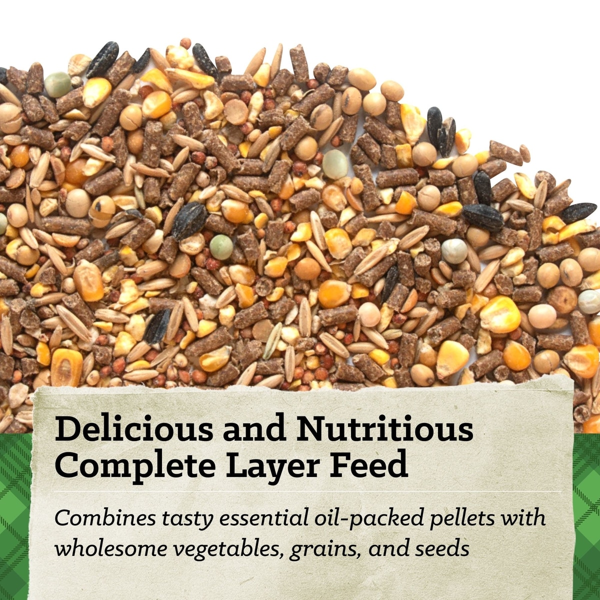 NUTRENA NatureWise Harvest Blend 18% Protein Layer Chicken Feed, 40-lb ...