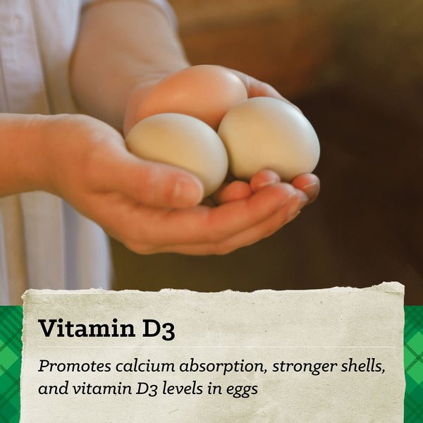 New Version Available - NUTRENA NatureWise Layer 16% Protein Crumble ...