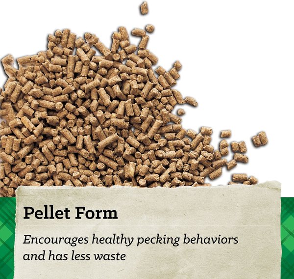 NUTRENA NatureWise Layer 16% Protein Pellet Chicken Feed, 50-lb bag ...