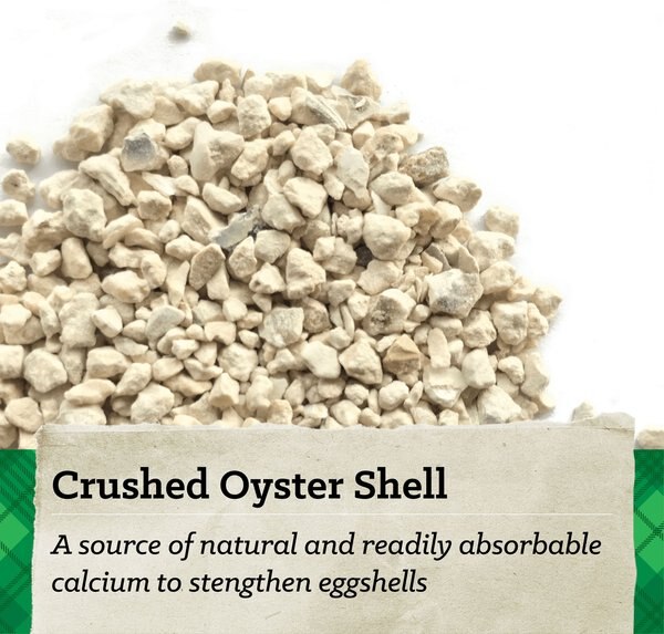NUTRENA NatureWise Oyster Shell Poultry Supplement, 7-lb bag - Chewy.com