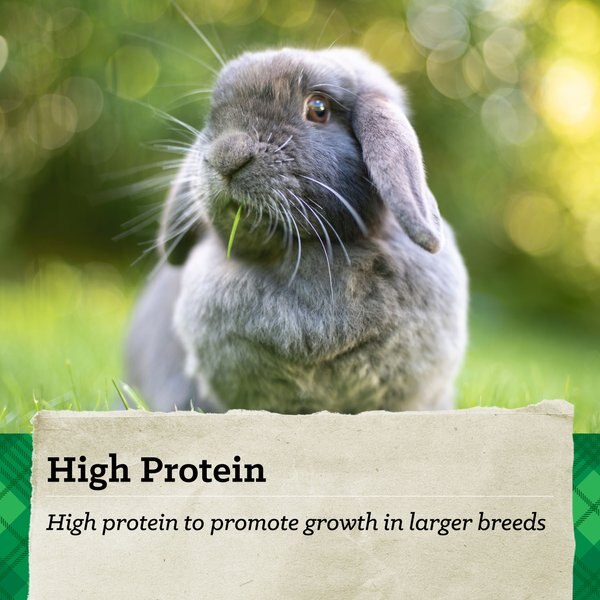 NUTRENA NatureWise Perform 18% Protein Rabbit Food, 40-lb bag - Chewy.com