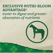 NUTRENA SafeChoice Senior Horse Feed, 50-lb bag - Chewy.com