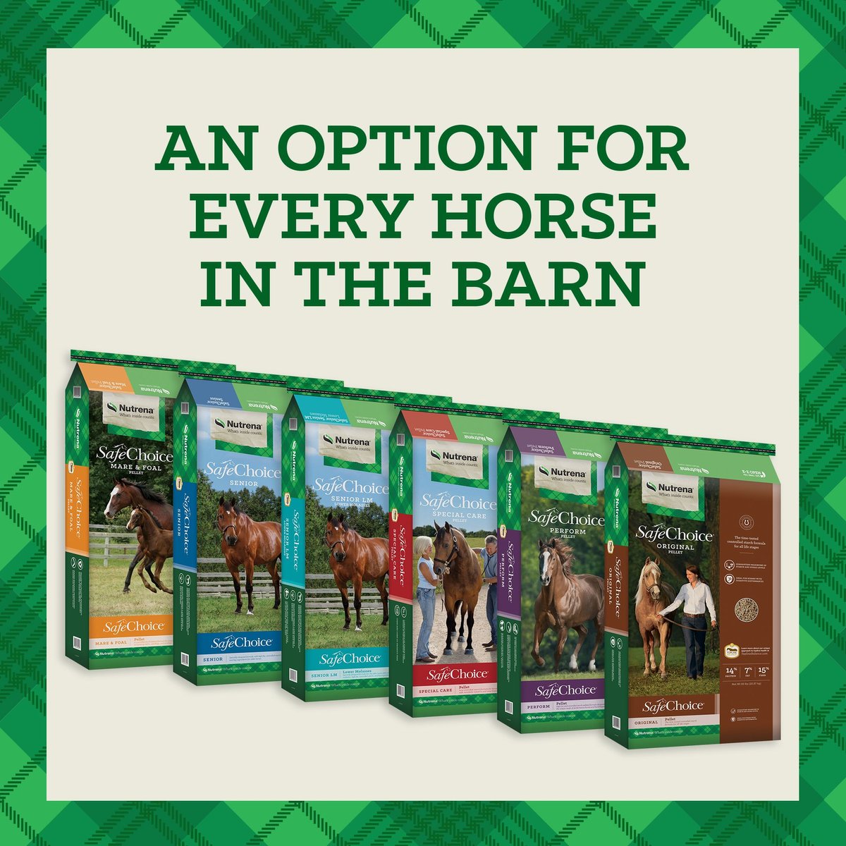 NUTRENA SafeChoice Senior Horse Feed, 50-lb bag - Chewy.com