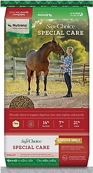 Nutrena - Free shipping | Chewy