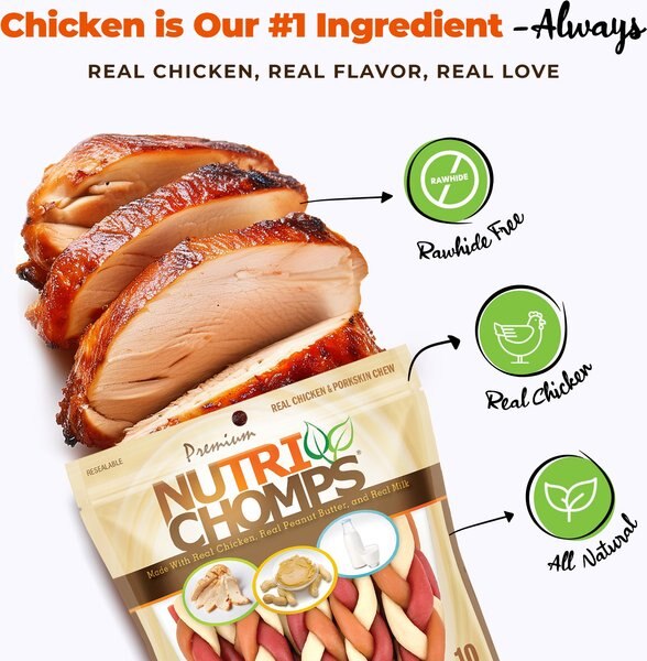 NUTRI CHOMPS 6" Mixed Flavor Braid Dog Treats, 10 count - Chewy.com