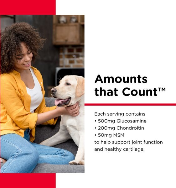 NUTRI-VET Extra Strength Chewable Tablets Joint Supplement for Dogs, 75 count - Chewy.com