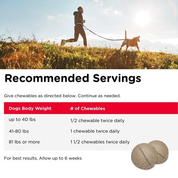 NUTRI-VET Extra Strength Chewable Tablets Joint Supplement for Dogs, 75 count - Chewy.com
