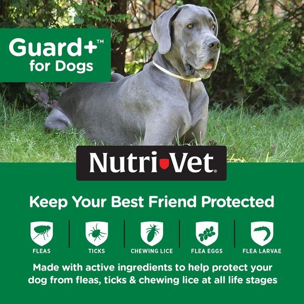 NUTRI-VET Guard Plus Flea & Tick Treatment for Large Dogs, 89-132 lbs ...