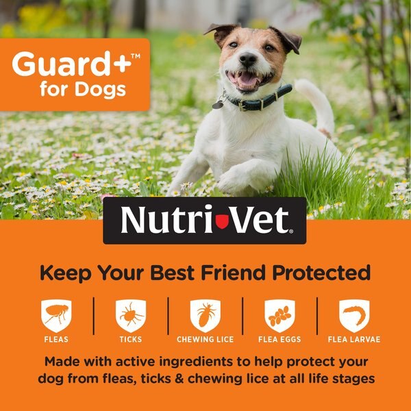 NUTRI-VET Guard Plus Flea & Tick Treatment for X-Small Dogs, 5-22 lbs ...