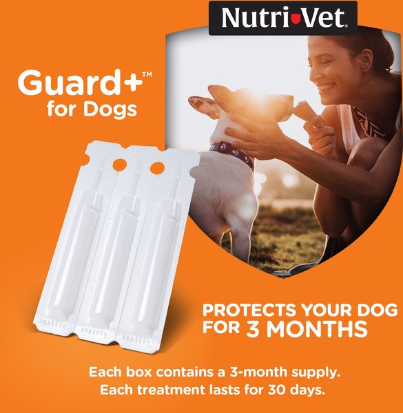 NUTRI-VET Guard Plus Flea & Tick Treatment for X-Small Dogs, 5-22 lbs ...