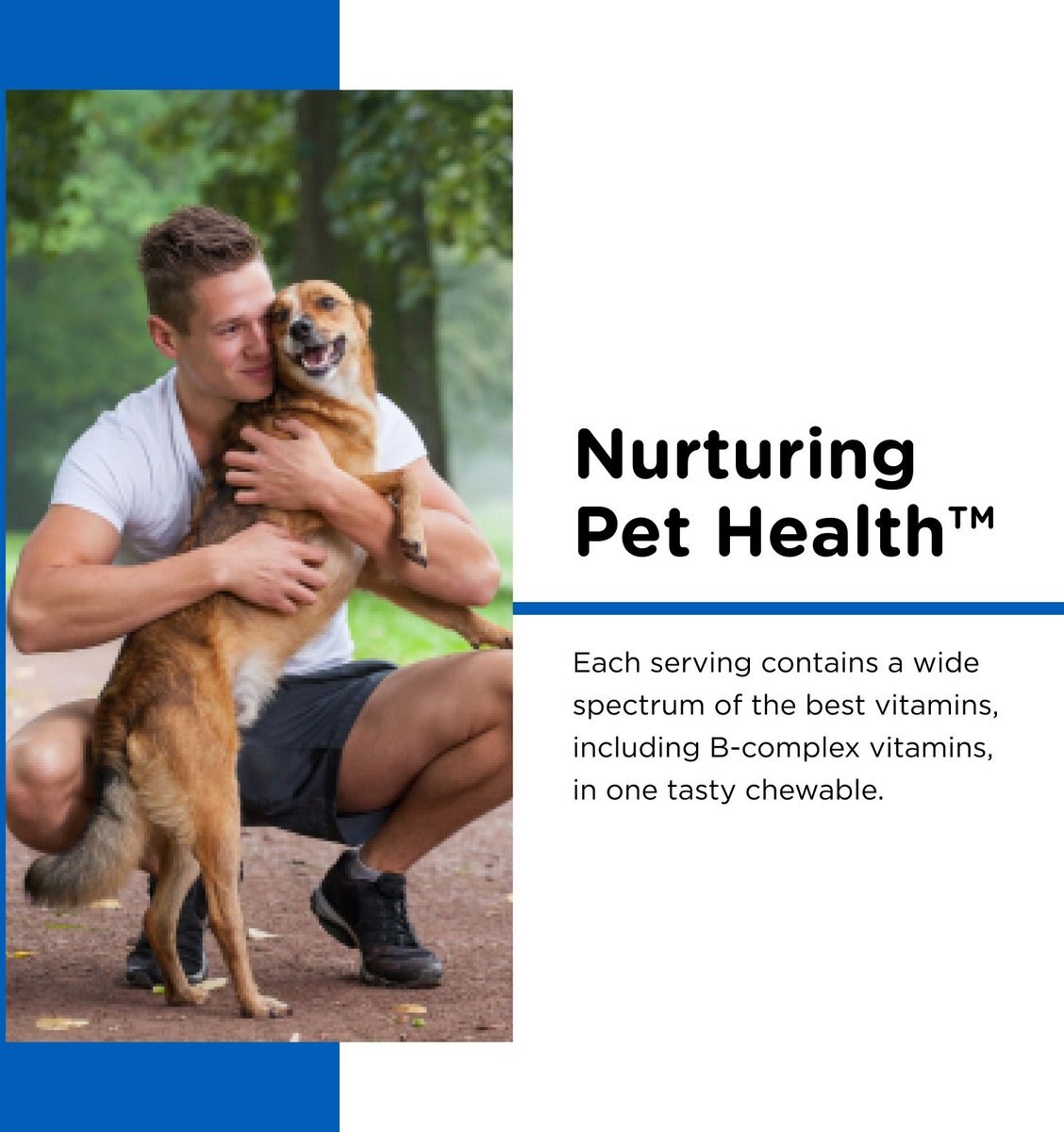 NUTRI-VET Multi-Vite Chewable Tablets Multivitamin for Dogs, 120 count ...