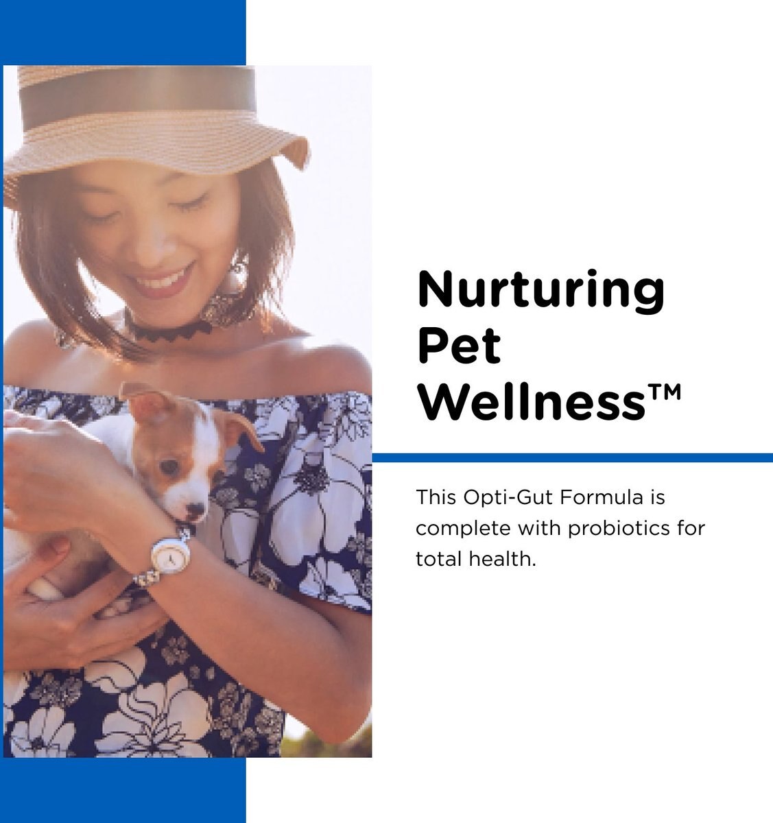 NUTRI-VET Powder Milk Supplement for Dogs, 12-oz - Chewy.com