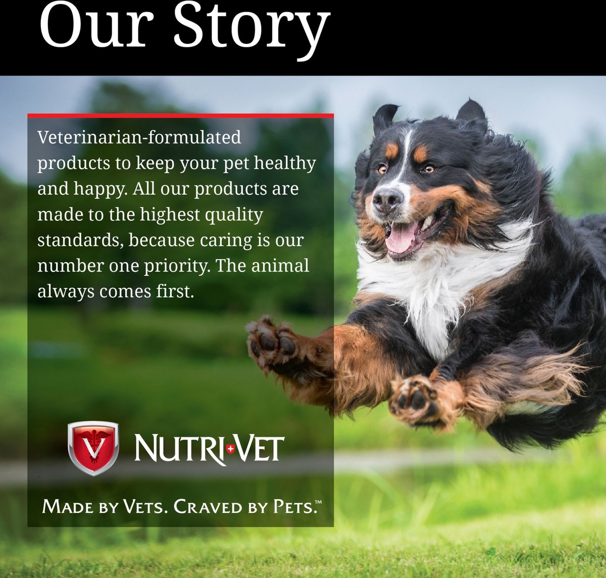 NUTRI-VET Probiotics Capsules Digestive Supplement for Dogs, 60 count ...