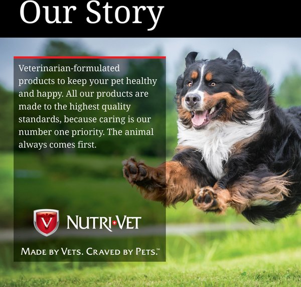 NUTRI-VET Probiotics Capsules Digestive Supplement for Dogs, 60 count ...