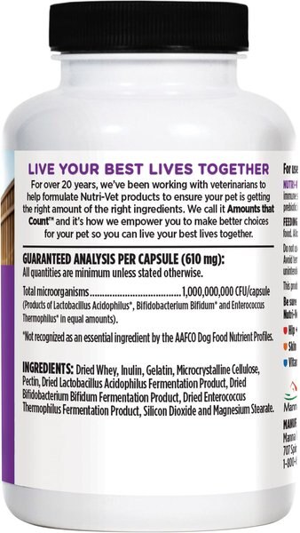 NUTRI-VET Probiotics Capsules Digestive Supplement for Dogs, 60 count ...