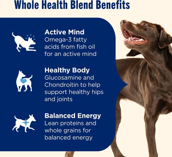 NUTRISH Whole Health Blend Large Breed Real Beef, Pea, Carrot & Brown ...