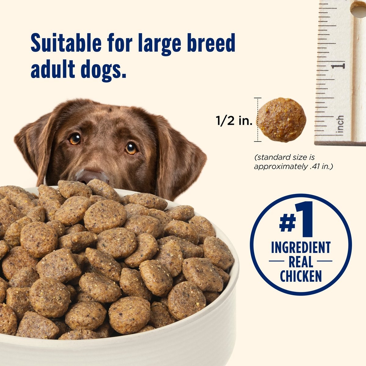 NUTRISH Whole Health Blend Large Breed Real Chicken, Pea, Brown Rice ...