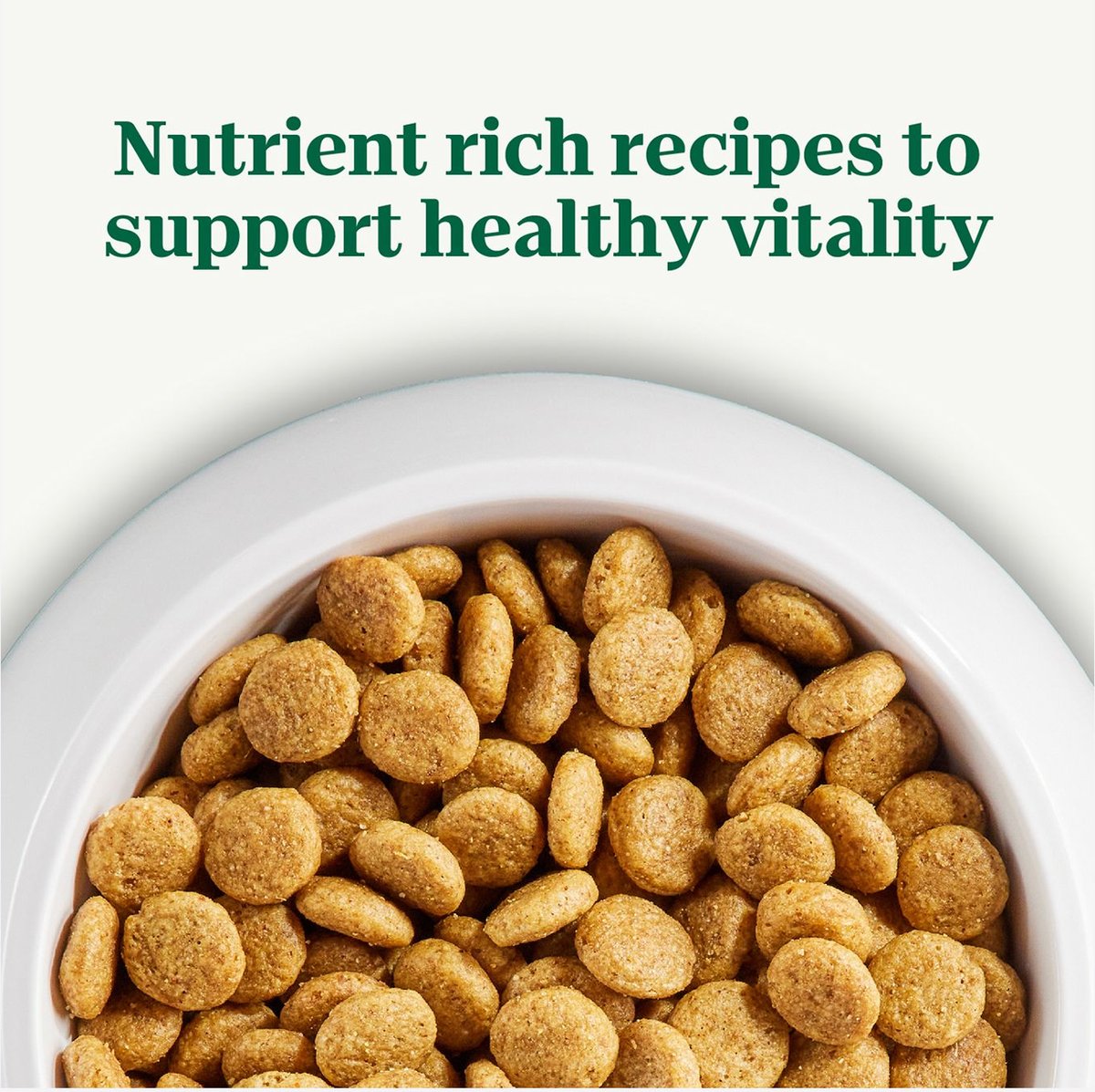 NUTRO Natural Choice Large Breed Adult Chicken & Brown Rice Recipe Dry ...