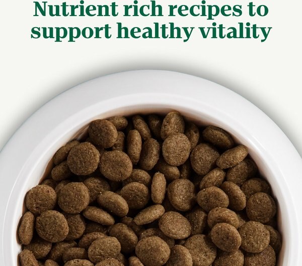 NUTRO Natural Choice Adult Large Breed Lamb & Brown Rice Recipe Dry Dog Food, 20-lb bag - Chewy.com