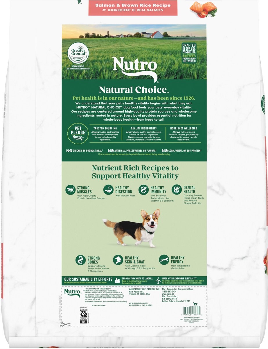 NUTRO Natural Choice Small Bites Adult High Protein Salmon & Brown Rice ...