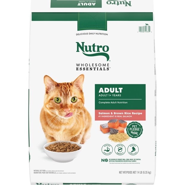 NUTRO DRY CAT FOOD (Free Shipping) | Chewy
